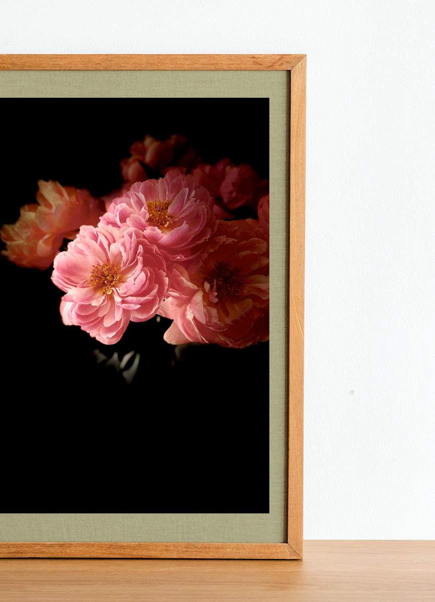 Florette • Nº 4 Florescence Collection • Peony Flower Fine Art Photogr ...